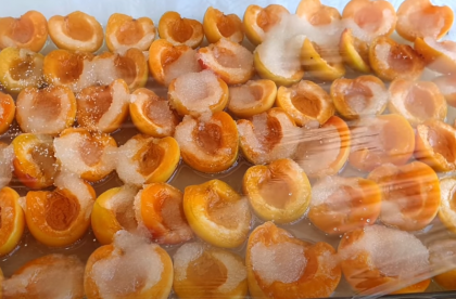 Domácí meruňkový kompot nebo džem s máslem boří internet: Každá česká ...