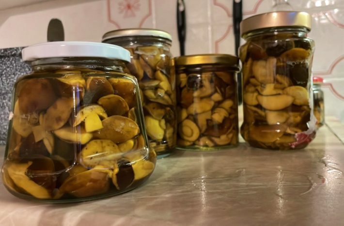 Nakládané houby babičky Alenky - VařímeDobroty.cz