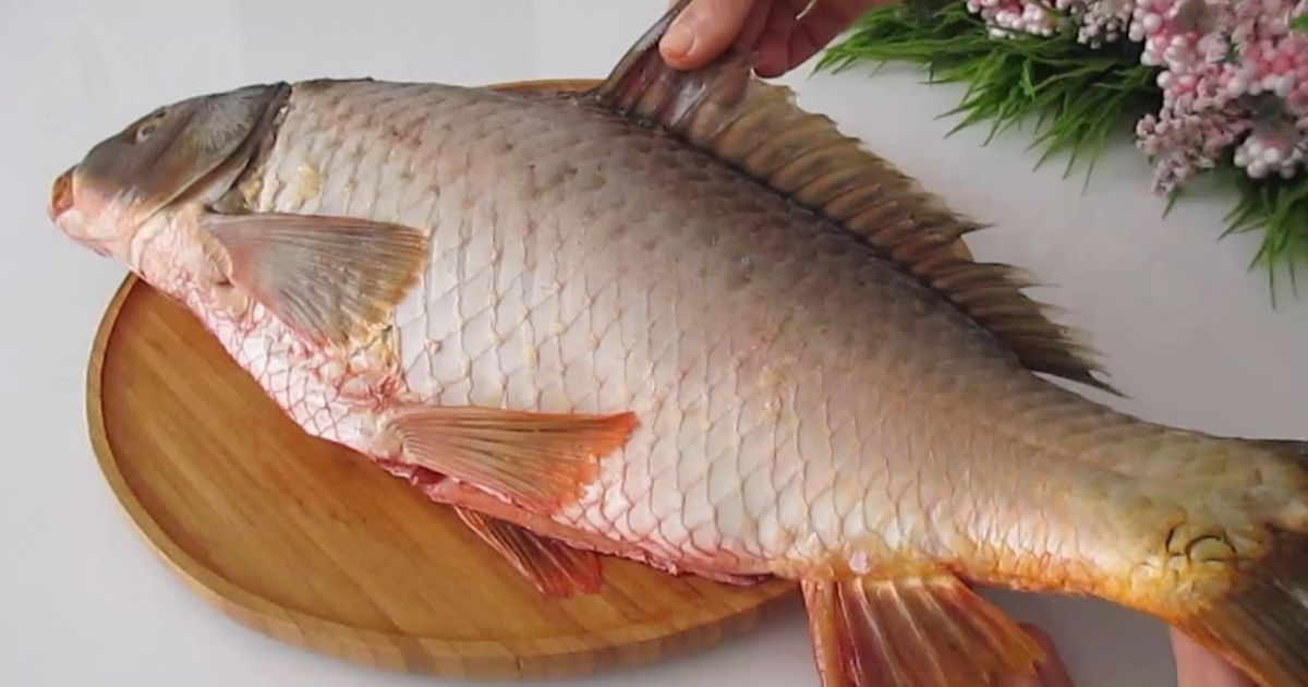 Pečený kapr s rajčatovou omáčkou a sýrem - VařímeDobroty.cz