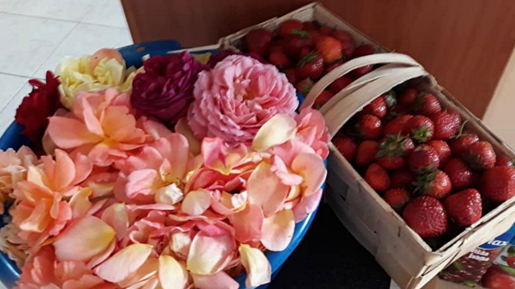 Jednoduchá domácí čalamáda - VařímeDobroty.cz