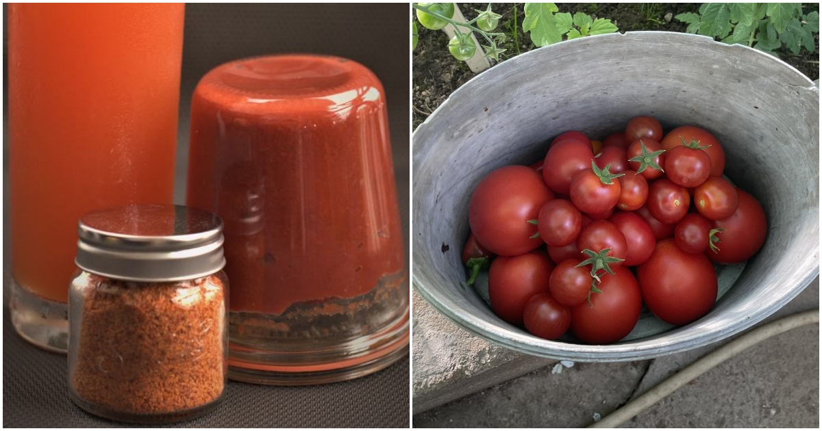 Jak zpracovat rajčata beze zbytku - VařímeDobroty.cz