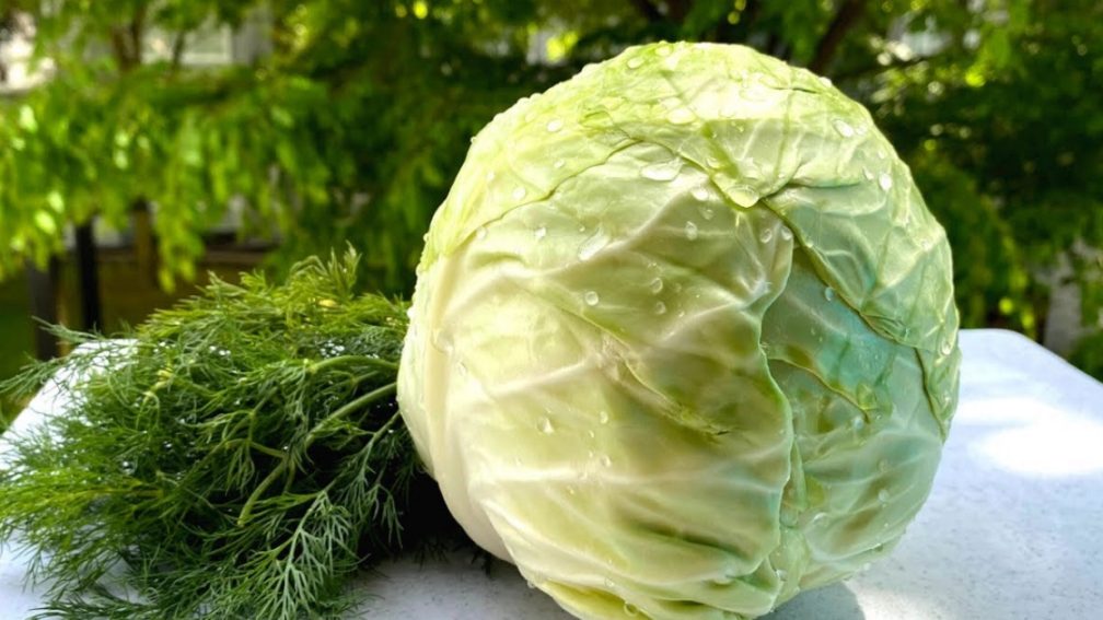 Rodinný recept na nejlepší nakládané zelí: Je starý přes 40 let a ...