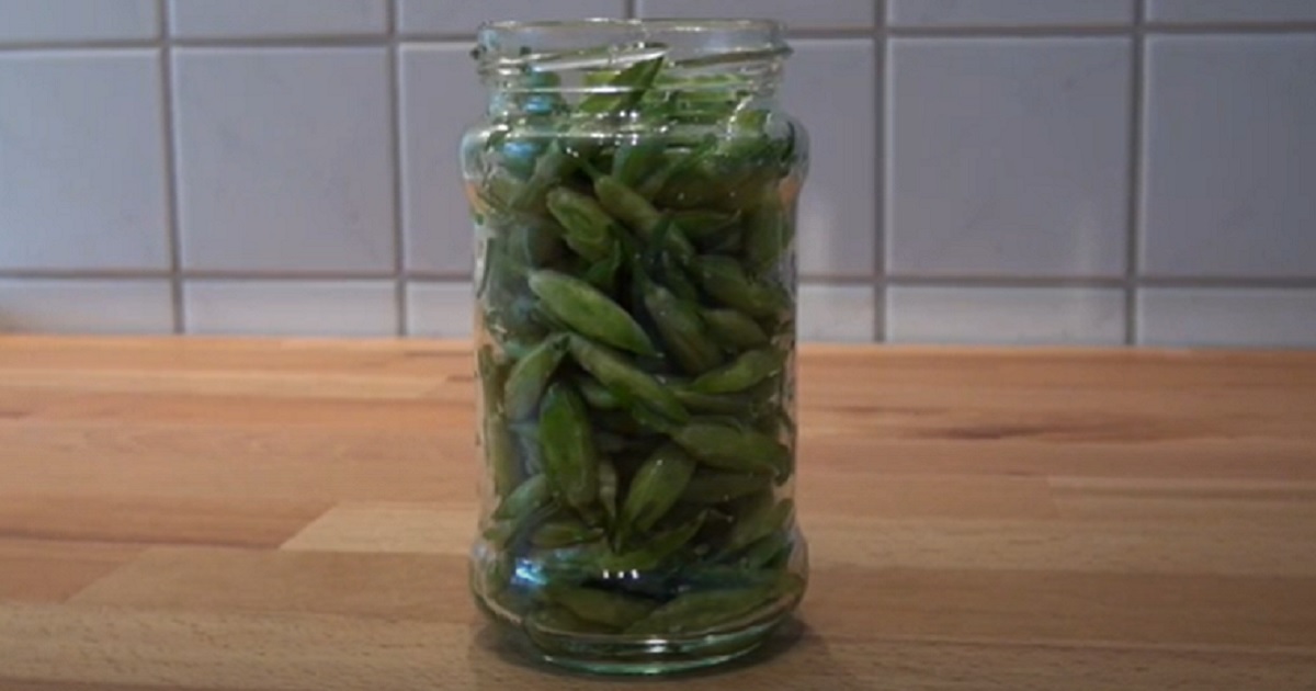 Kapary z medvědího česneku s chilli – VařímeDobroty.cz